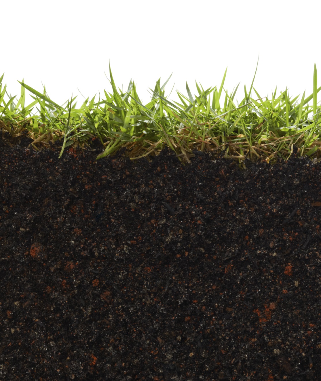 Recomendaciones para balancear el perfil de su suelo | Hortalizas