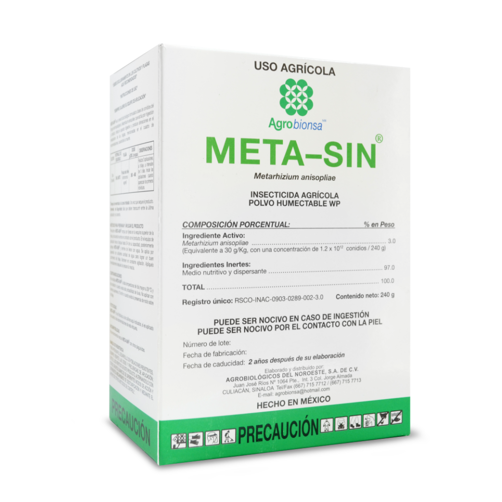 META-SIN Caja - Directorio